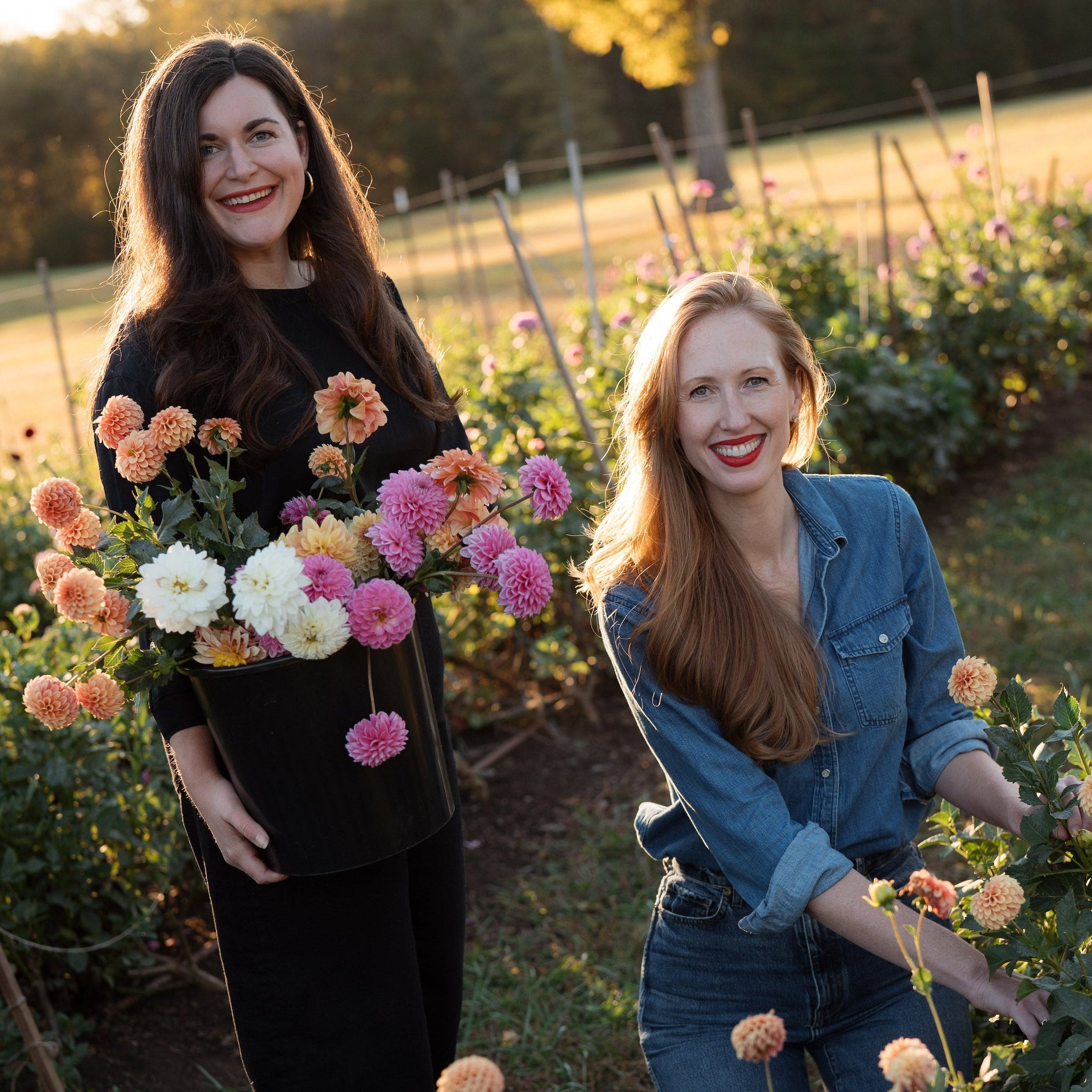 Floral Post | Luxury Flowers Delivered Fresh from the Farm